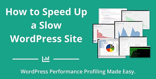 Code Profiler Pro 171 Wordpress Performance Plugin